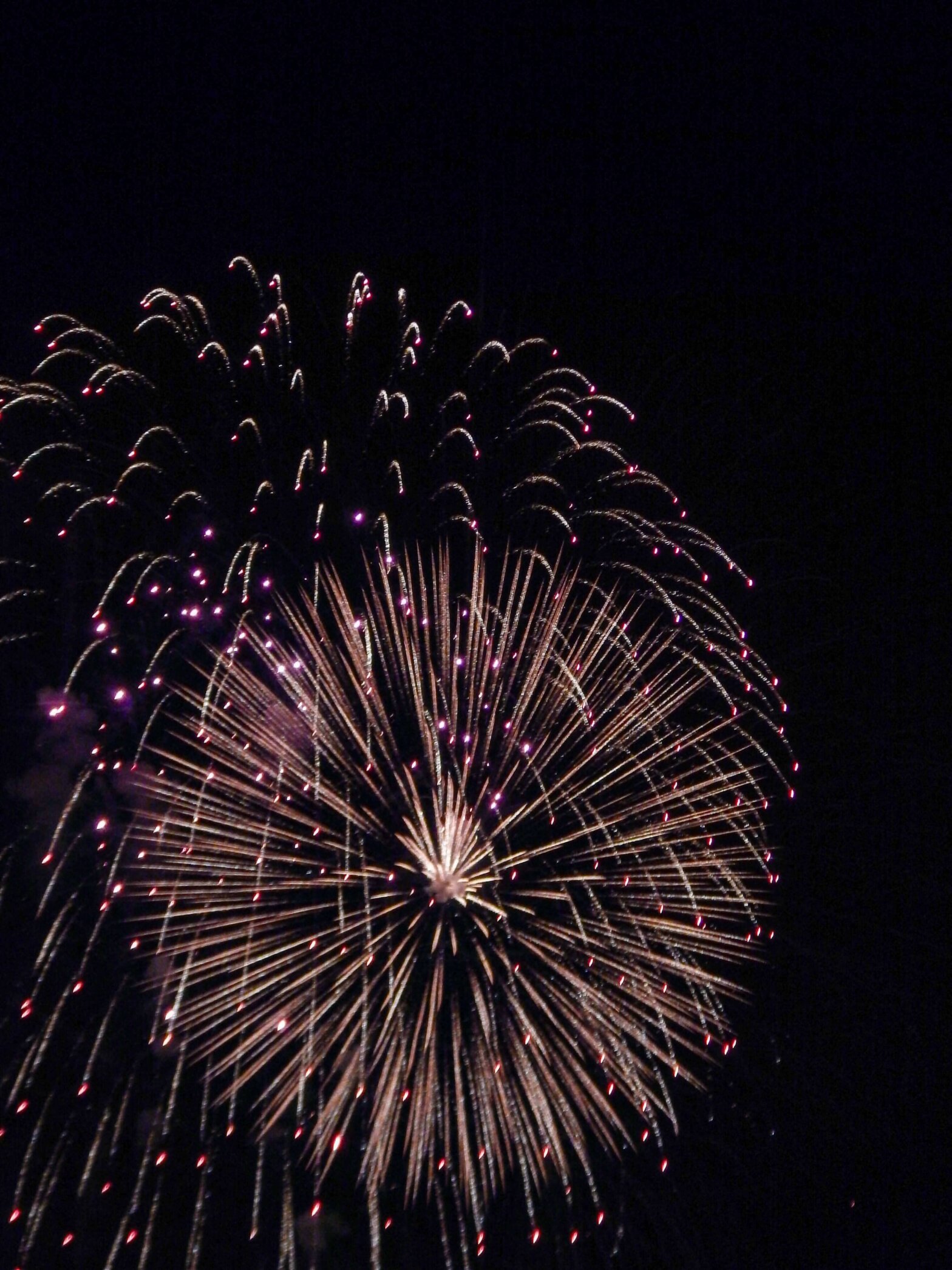 How to Photograph Fireworks: A Guide for the Professionals